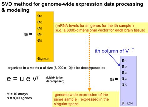 Gene Expression Analysis