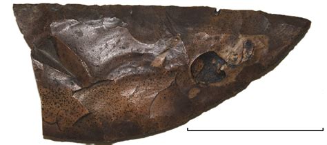 Knife Fragment Am E9639 95 Cm Long 44 G Scale 5 Cm Download