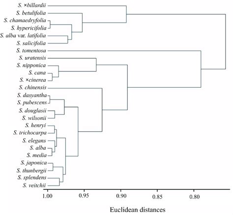 Clustering Neighbor Joining Method Of Spiraea Species Based On All Download Scientific