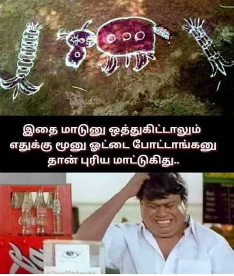 Mattu Pongal 2024 Funny Wishes In Tamil Happy Mattu Pongal Images Quotes Mattu Pongal Funny