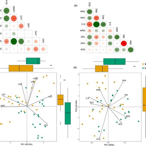 Pairwise Correlations Of The Above‐ A And Belowground B Community