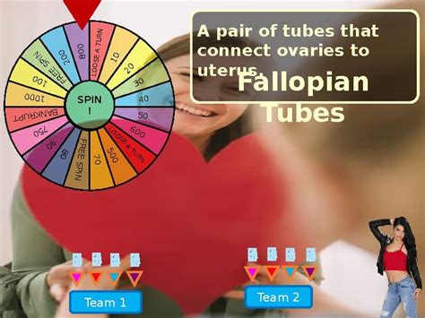 Sex Education Wheel Game By Prakash Bhatia Tpt