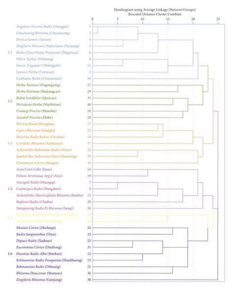 Dendrogram Of Cluster Analysis The Diagram Was Generated By IBM SPSS Download Scientific