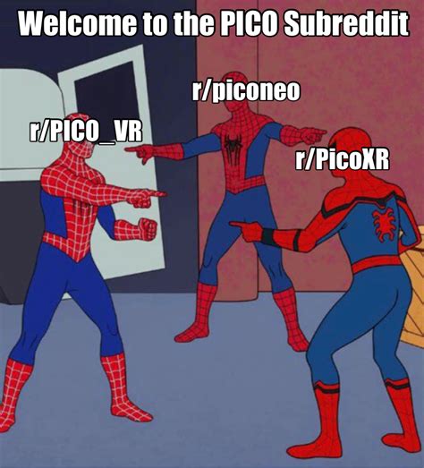 XD R PICO VR