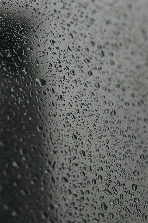 고요한 관념적인 광휘 날씨 대기의 대형 디테일 물 물방울 물을 튀기다 미니멀리스트 반사 배경 배경을 흐리게 불포화 블랙 앤 화이트 비 비 오는
