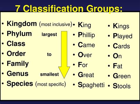 What Is The Largest Classification Group At Harold Case Blog