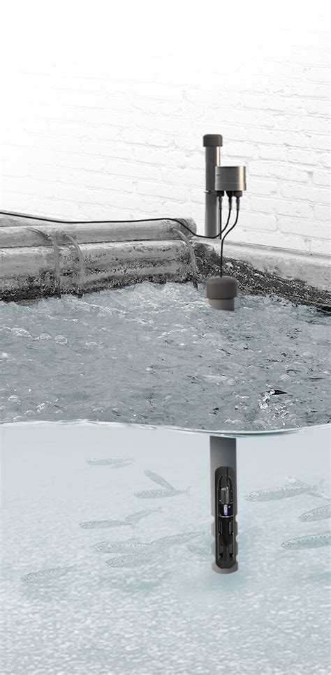 Recirculating Aquaculture Ras Monitoring Nexsens