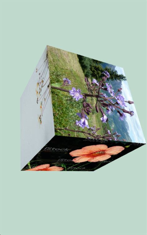 Github Ramazankarkincse4083 Computer Graphics It Is The