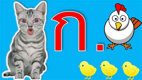 เพลง ก เอ๋ย ก ไก่ อนุบาล โดยน้องแมวทอม Thai Alphabet Song Youtube