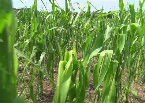 РТК У Книћу и даље ванредна ситуација