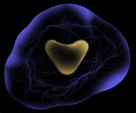 Deep Dive Into Vita Dao — Leading The Desci Landscape By Thatcat Coinmonks Nov 2022 Medium