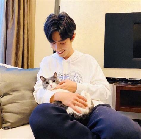 肖战个人简历资料华晨宇个人个人第10页大山谷图库