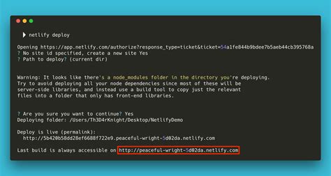 5 Methods You Can Use To Deploy Your Web App Part 5netlify By Raja Raghav Programming
