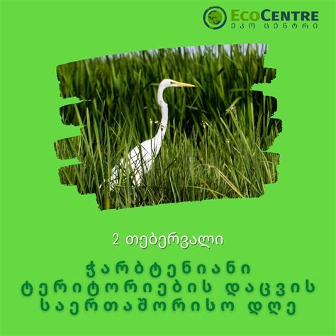 2 თებერვალს ჭარბტენიანი ტერიტორიების საერთაშორისო დღე აღინიშნება • Eco Centre