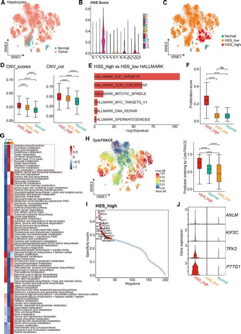 Frontiers Integrated Analysis Of Single Cell And Bulk Rna Sequencing Data Reveals A Cellular