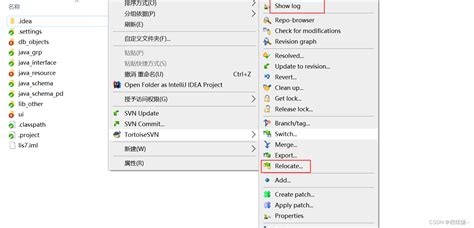 Svn使用手册【简洁明了】svn手册 Csdn博客