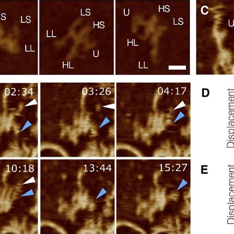 high resolution imaging of dna and rna by afm a b hotair molecules