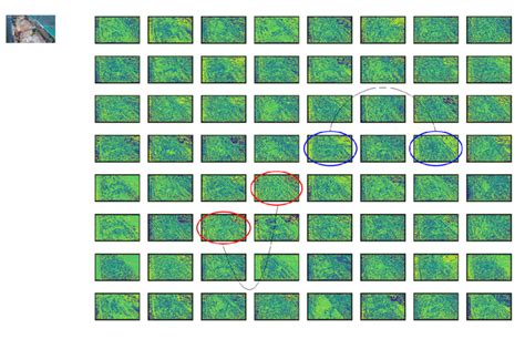 Similar Feature Maps Of Yolov5s Download Scientific Diagram