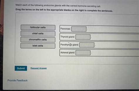 Solved Match Each Of The Following Endocrine Glands With The Chegg