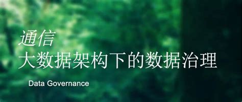 通信大数据架构下的数据治理pdf微信资料高清