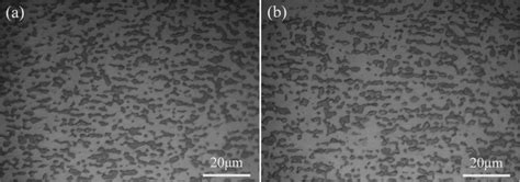 Microstructure Of A Au 30ga Solder And B Au 30ga 0 01ni Solder