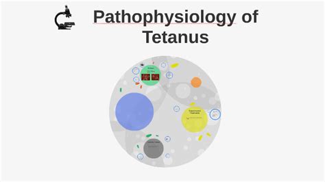 Pathophysiology Of Tetanus By Erin Wyers On Prezi