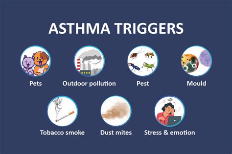 Asthma Symptoms And Causes Dr Jeenam Shah Best Asthma Specialist Near Me