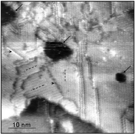 Figure 1 From The Nature Of Alkanethiol Self Assembled Monolayer