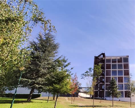 Home Page Dbuminhopt