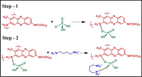 Formation Of Ion Pair Complex Between Neutral Red And Dihydrogen