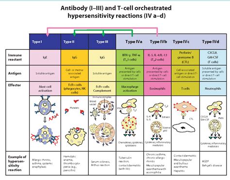 Classification Of Hypersensitivity Reactions Induced By Nsaids