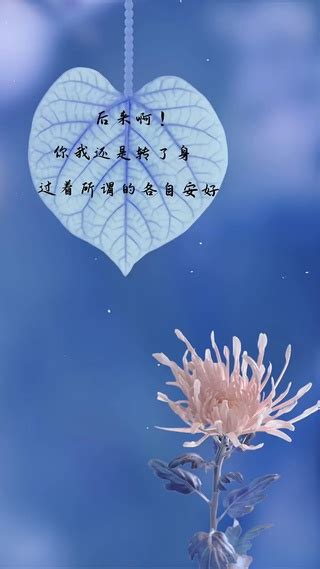 各自安好，互不打扰。手机动态壁纸 手机壁纸下载 元气壁纸