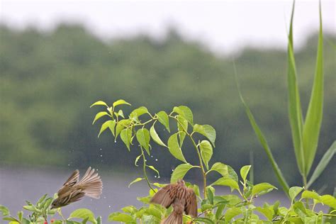 swapping places lol r birdwatching