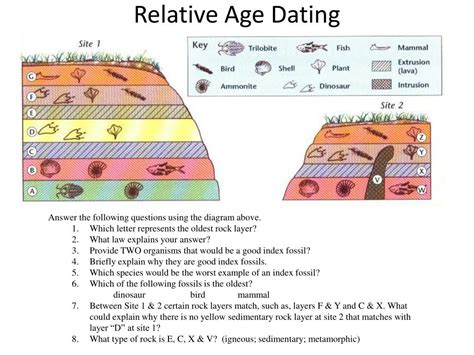 ppt fossil identification powerpoint presentation free download id