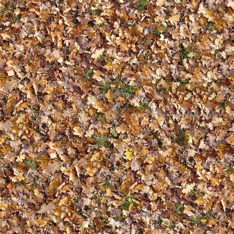 Seamless Dry Leaf Texture