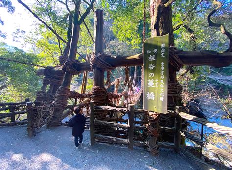 徳島の自然とスリルを楽しむ！ 祖谷のかずら橋