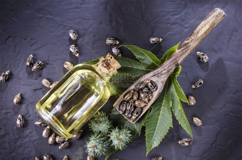 黑桌上的豆子和蓖麻油高清图片下载 正版图片503264596 摄图网