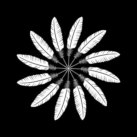 Ornamental Circle Shape Made By Feather Composition For Decoration Ornate Website Art