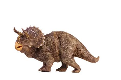 500 공룡 사진 4k Unsplash에서 무료 이미지 다운로드