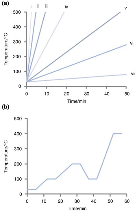 Temperature Profiles Obtained From The HDM Interface A Heating Rate Download Scientific