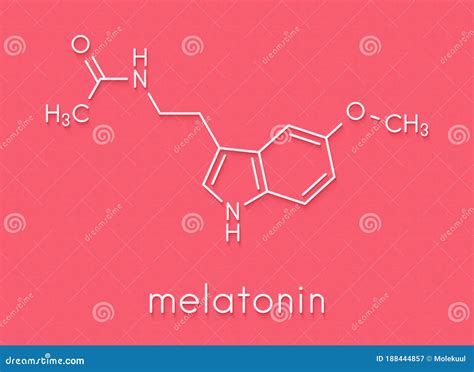 Melatonin And Circadian Rhythm Regulation Brain With Pineal Gland Vector Illustration