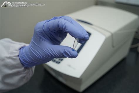 Pcr Gradient Polar