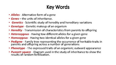 Inheritance Genes Learning Objectives To Understand How Traits
