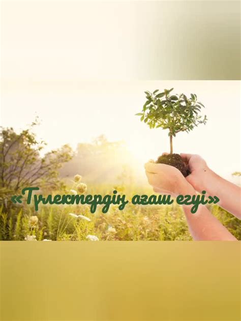 Прокофий Корниенко атындағы мектеп 10 апреля на уроке биологии ученики 9 А и 9 Б класса
