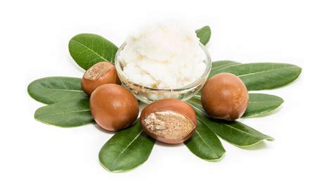 Smart Shea Butter Sma Collaboratives