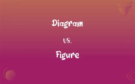 Diagram Vs Figure Whats The Difference
