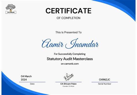 Audit Statutoryaudit Ca Amir Inamdar