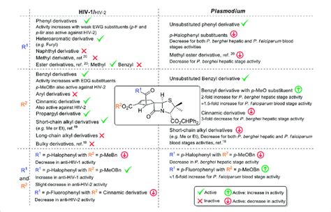 Overview Of The Identified Structure Activity Relationships Download