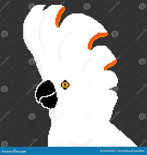 Pixel Art White Cockatoo Parrot Bird And Illustration Stock Illustration Illustration Of