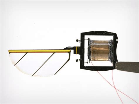 Mits New Insect Sized Winged Drones Have A Flight Time Of 17 Minutes Yanko Design